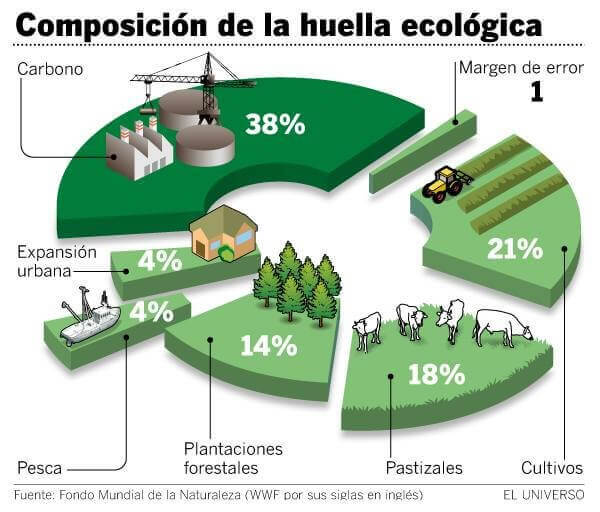Biocapacidad Qué Es Ejemplos Y Cómo Calcularla Eigu